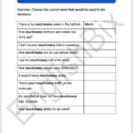 Choose the Correct Word Much vs Many for Sentences - EnglishBix