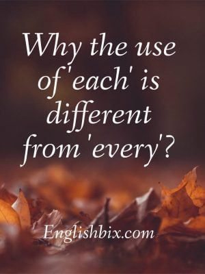 Each vs Every: Difference and use in Sentence - EnglishBix