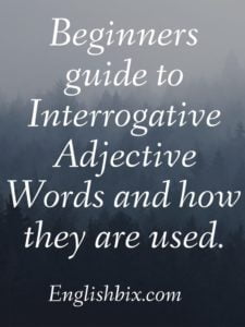 Interrogative Adjectives Examples in Sentences - EnglishBix