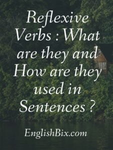 Reflexive Verbs with Example Sentences - EnglishBix