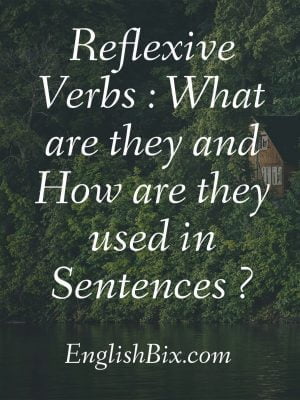 Reflexive Verbs with Example Sentences - EnglishBix