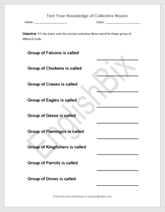 Group of Birds Worksheets & Printables - EnglishBix
