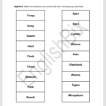 Match The Group Words with Their Correct Animals - EnglishBix
