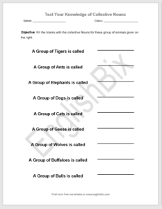 Animal Group Names Worksheets & Printables - EnglishBix