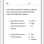 Identify the Collection Noun Used in The Sentence - EnglishBix