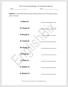 Animal Group Names Worksheets & Printables - EnglishBix