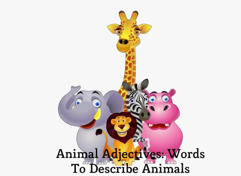 Adjectives Words to Describe Animals - EnglishBix