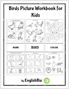 Picture Identification Worksheets & Printables - EnglishBix