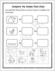 Food Chain Activity Workbook for Kids - EnglishBix