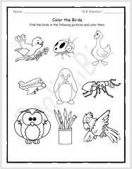 Birds Picture Activity Workbook for Kids - EnglishBix
