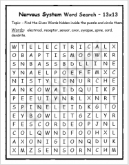 Nervous System Word Puzzles Mini Workbook - EnglishBix