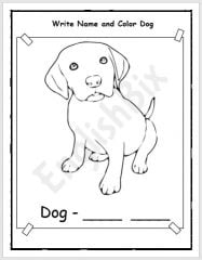 Dog - A Lovely Pet Facts Activity Worksheets - EnglishBix