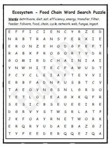 Ecosystem - Food Chain Word Search Mini-Workbook - EnglishBix