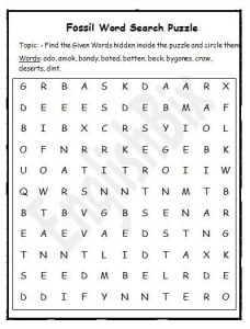 Fossils Word Search Mini-Workbook - EnglishBix