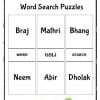 Holi Festival Word Search Mini-Workbook - EnglishBix