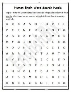 Human Brain Word Search Printable - EnglishBix