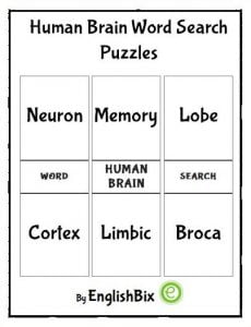 Human Brain Word Search Printable - EnglishBix