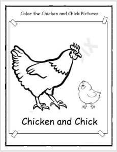Chicken and Chick Hatching Activity Worksheets - EnglishBix