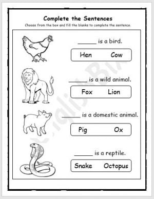 Animal Pictures Vocabulary Workbook - EnglishBix