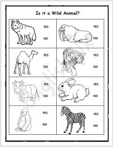 Wild Animal Activities Workbook for Kindergarten Kids - EnglishBix