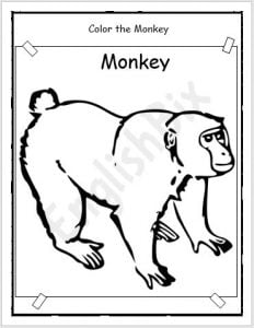 Monkey Activity Printable Worksheets for Kids - EnglishBix