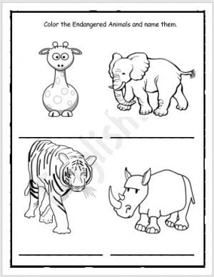 Endangered Animal Species Printable Workbook - EnglishBix