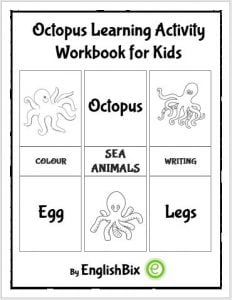 Octopus Activity Worksheets for Kindergarten - EnglishBix