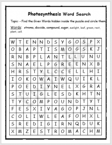 Photosynthesis Word Search Puzzles Printables - EnglishBix