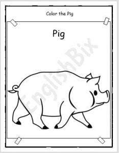 Pig Activity Printable Worksheets for Preschoolers - EnglishBix