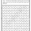 Skeletal System Word Search Printables - EnglishBix