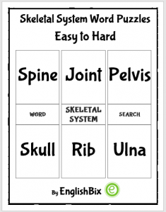 Human Anatomy and Physiology Worksheets & Printables - EnglishBix