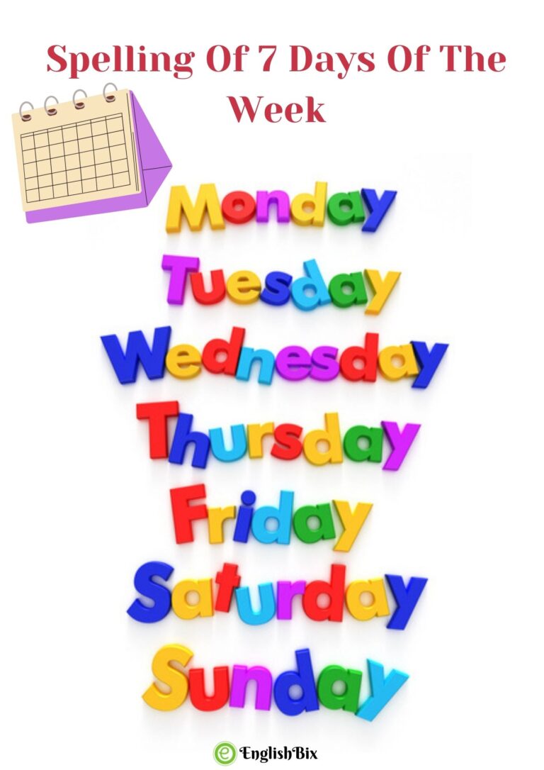 Spellings for 7 Days of the Week in English - EnglishBix