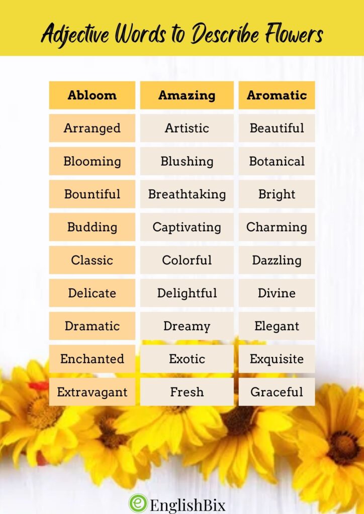 100+ Adjective Words to Describe Flowers - EnglishBix