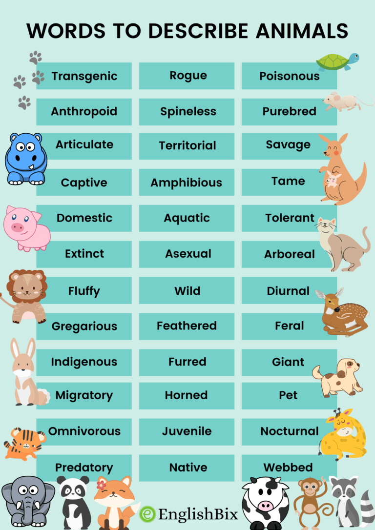 Adjectives Words to Describe Animals and Pets - EnglishBix