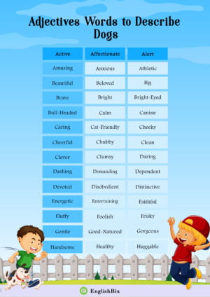 140 Adjectives Words to Describe Dogs and Puppies - EnglishBix