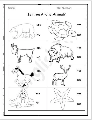 Arctic Animals Worksheet Arctic Animals