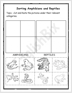 Amphibians and Reptiles Sorting Worksheet - EnglishBix