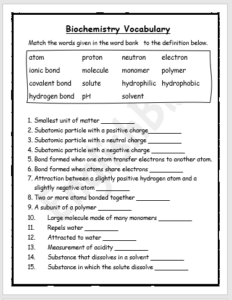 Biochemistry Vocabulary Worksheet - EnglishBix
