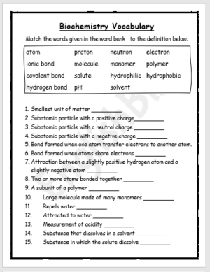 Biochemistry Vocabulary Worksheet - EnglishBix
