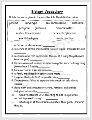 Biology Vocabulary Worksheet - EnglishBix