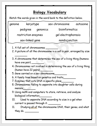 Biology Vocabulary Worksheet - EnglishBix