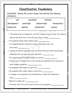 Classification Vocabulary Worksheet - EnglishBix