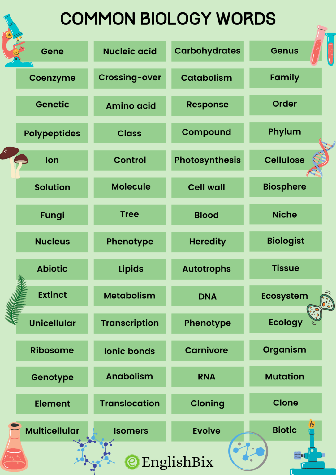 150+ Biology Vocabulary Words List for Kids - EnglishBix