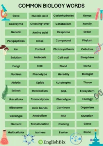 150+ Biology Vocabulary Words List for Kids - EnglishBix