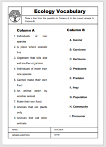 Ecology Vocabulary Matching Worksheet - EnglishBix
