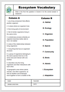 Ecosystem Vocabulary Worksheet - EnglishBix
