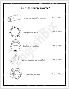 Energy Sources True and False Worksheet - EnglishBix