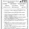 Evolution Vocabulary Worksheet - EnglishBix