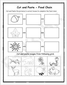 Food Chain Cut and Paste Worksheets - EnglishBix