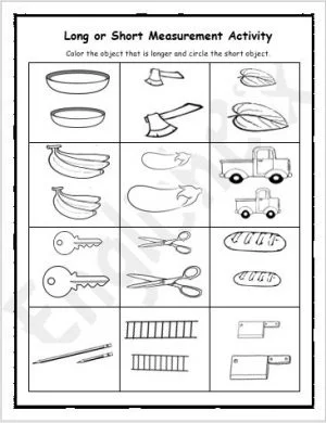 Long and Short Pictures Concept Worksheet - EnglishBix